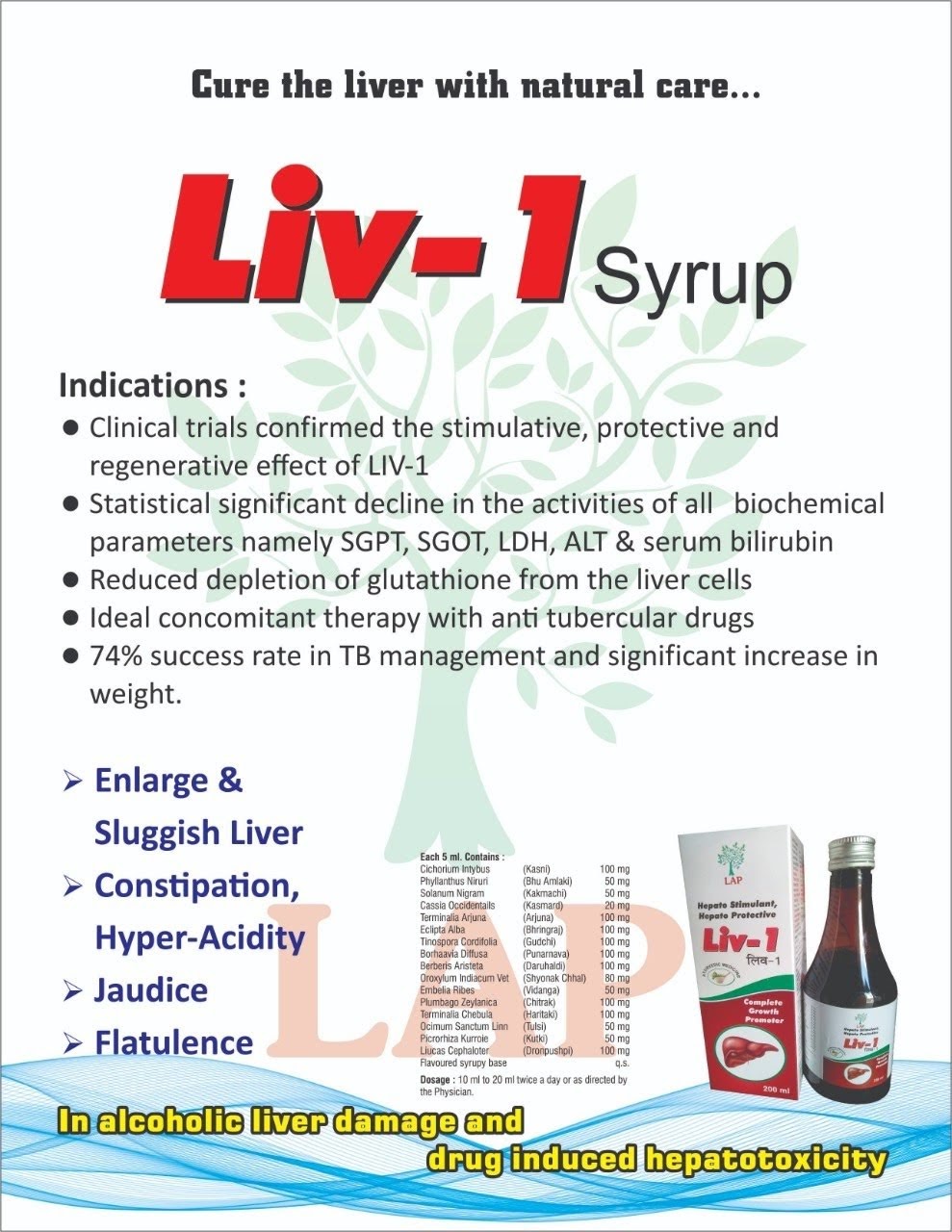 Liv-1 Syrup: The Complete Hepato-Protective Tonic for Liver Health ...